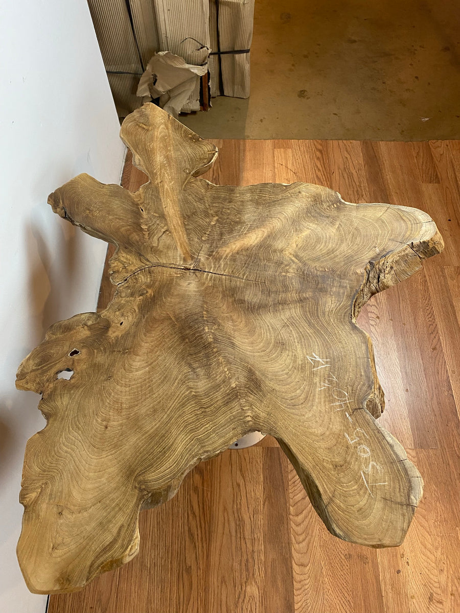 TS05 Live edge free form teak root wood slab 40" x 32" – R-Home Furniture